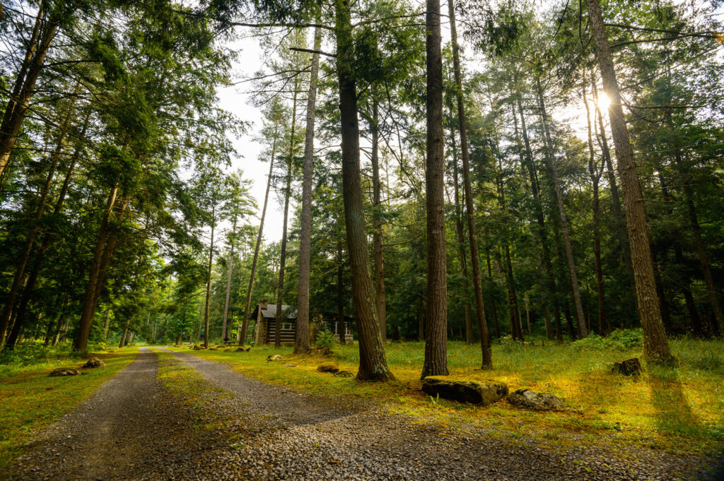 Greenbrier State Forest in Caldwell, WV - Almost Heaven - West Virginia