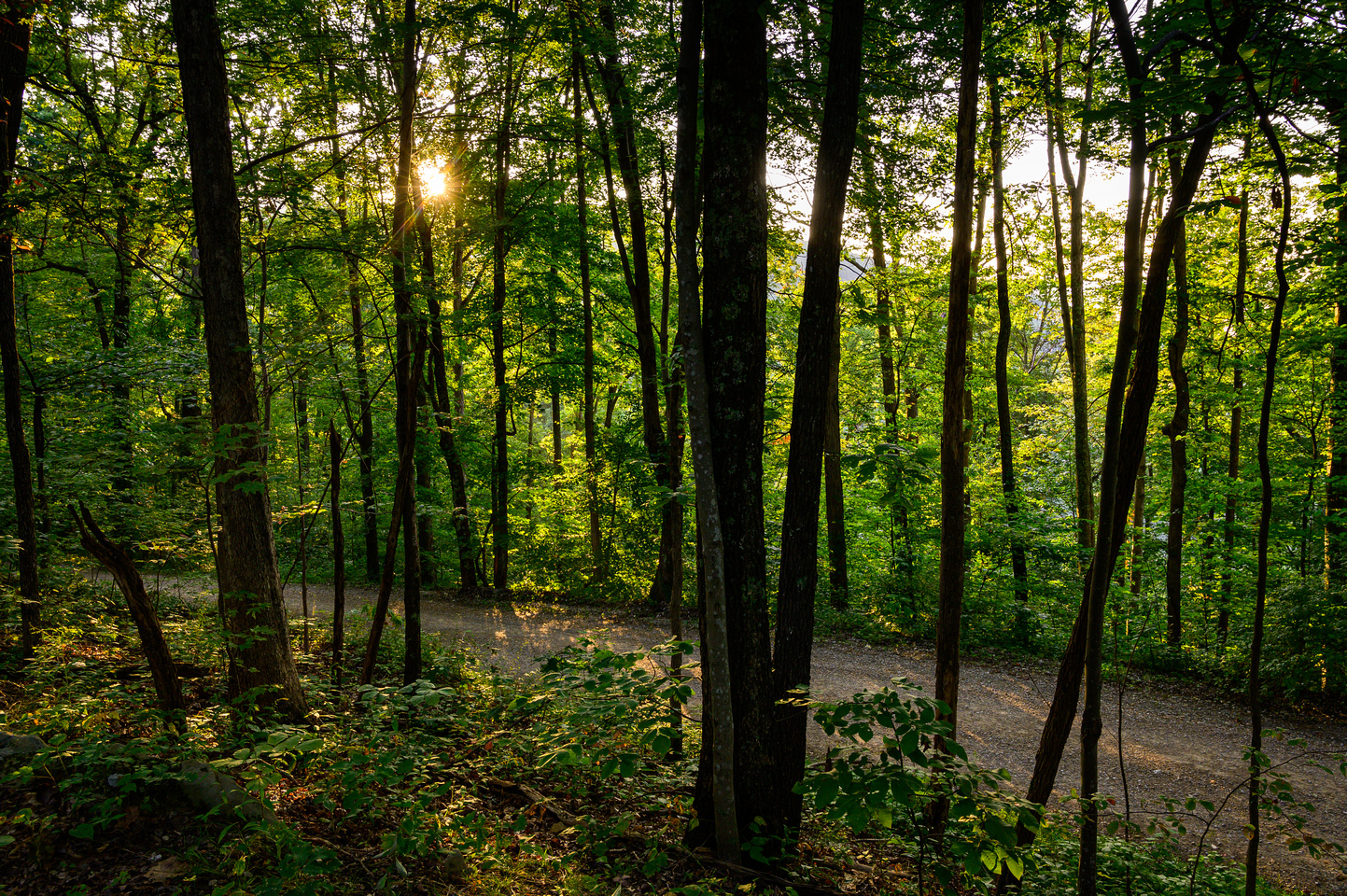 Kanawha State Forest in Charleston, WV - Almost Heaven - West Virginia