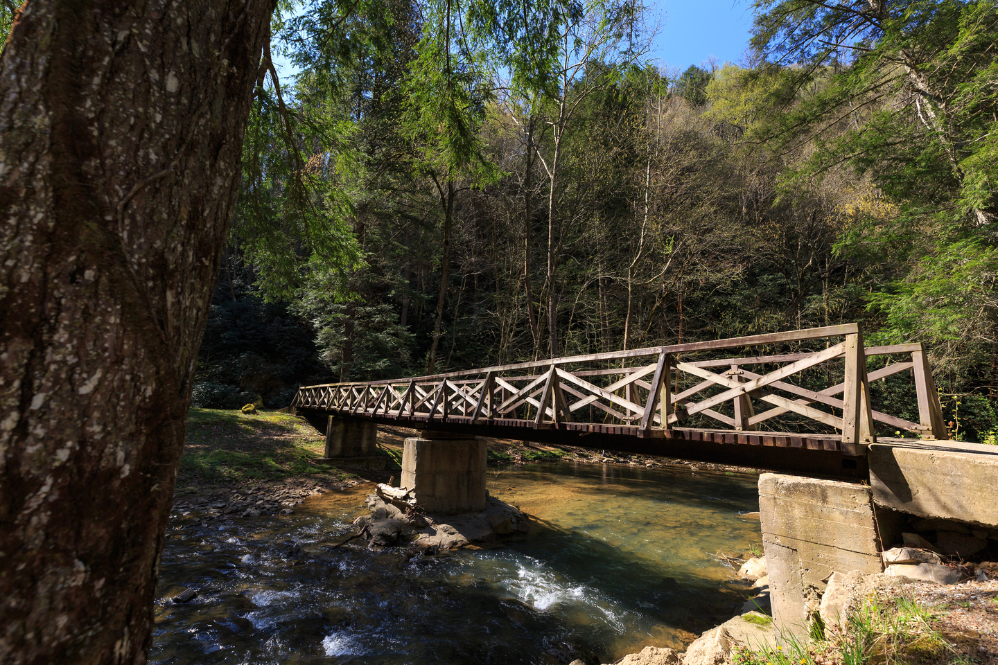 Panther State Forest in Panther, WV - Almost Heaven - West Virginia