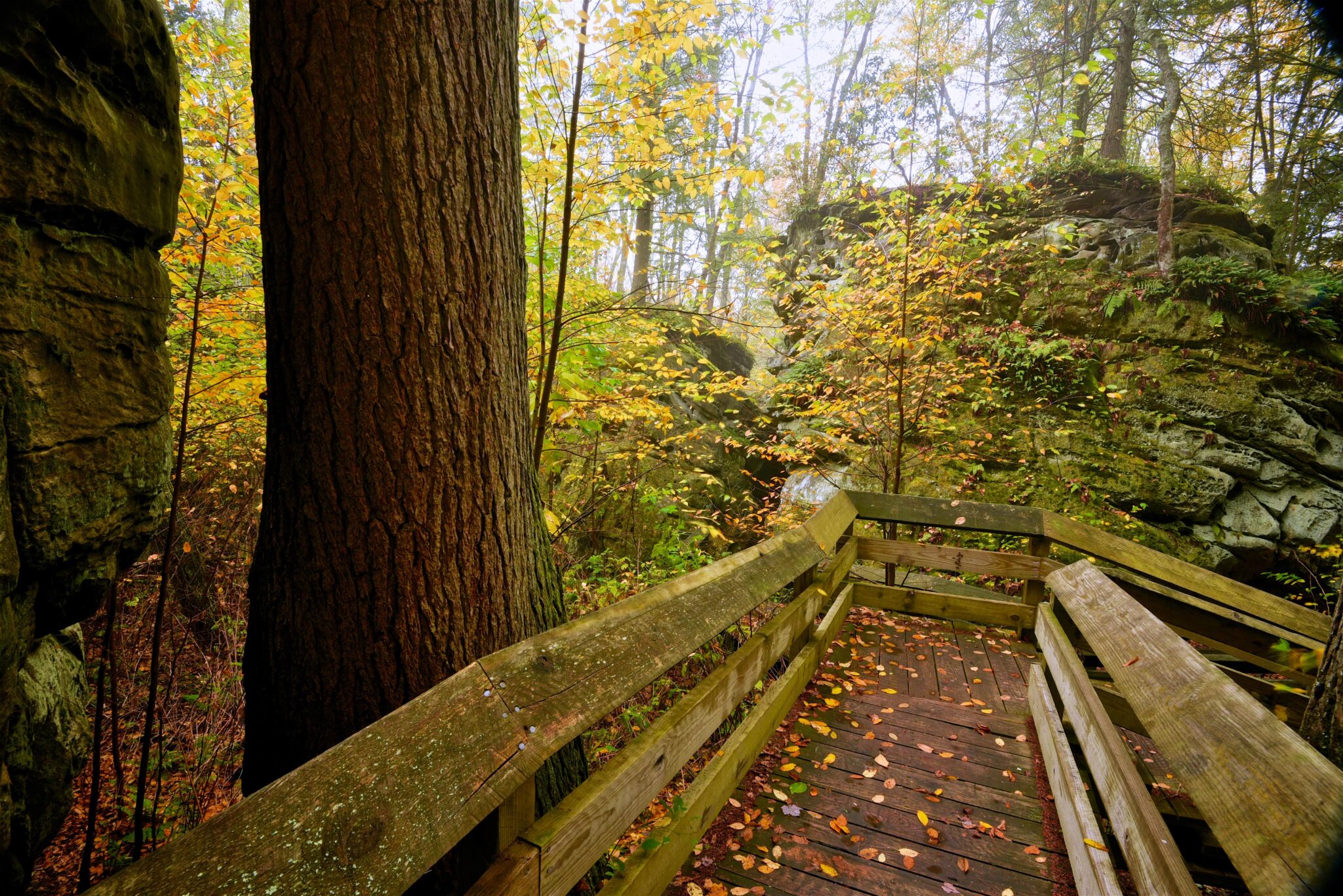 Beartown State Park in Marlinton, WV - Almost Heaven - West Virginia