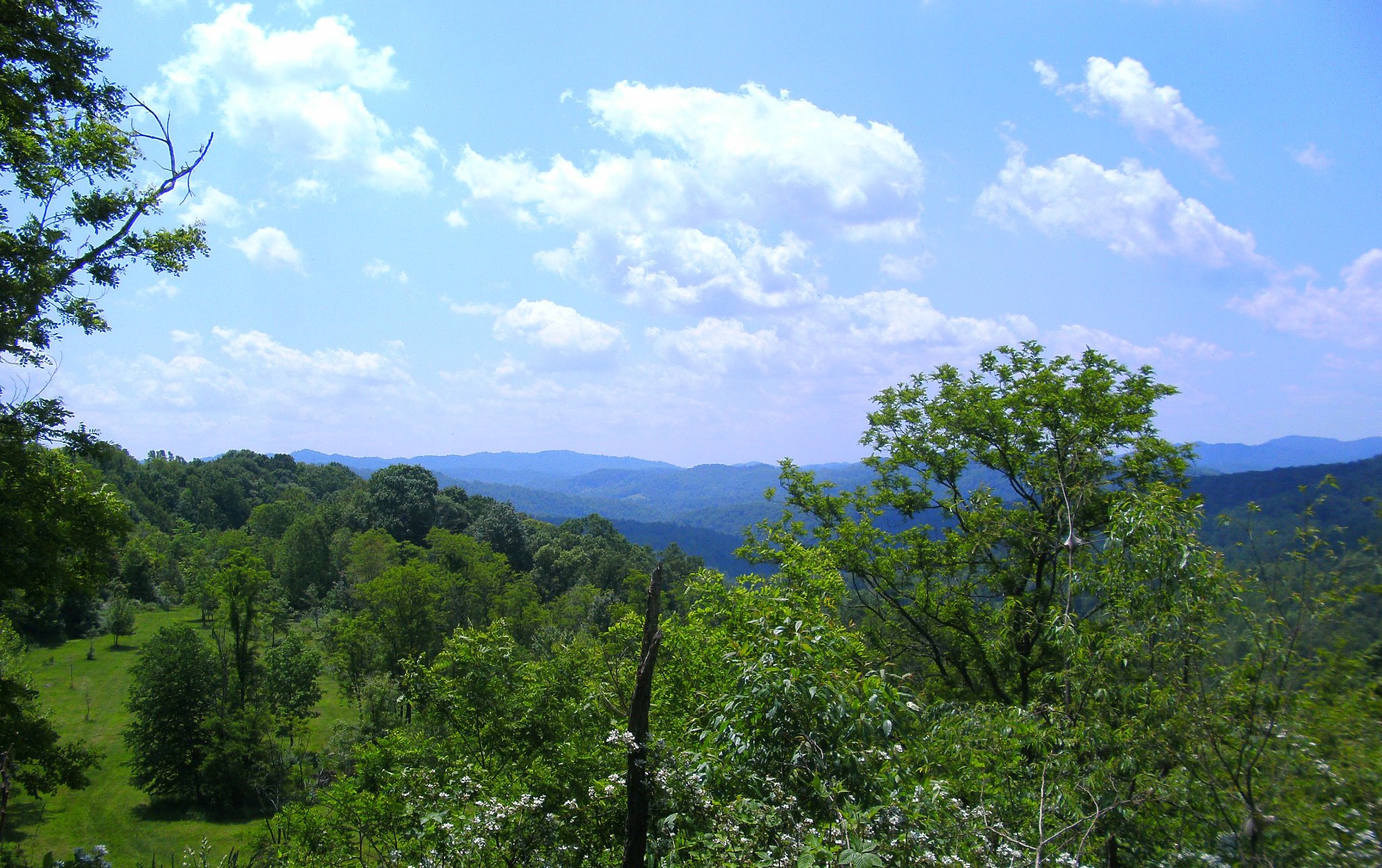 Tawney Farm, LLC in Summersville, WV - Almost Heaven - West Virginia
