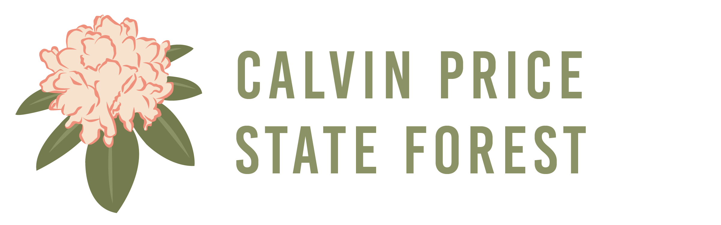 Calvin Price State Forest in Marlinton, WV - Almost Heaven - West Virginia