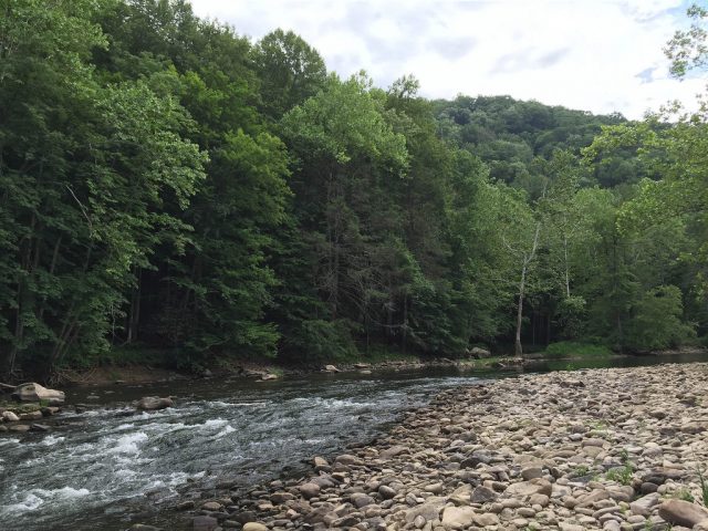 Bluestone National Scenic River in Glen Jean, WV - Almost Heaven - West ...