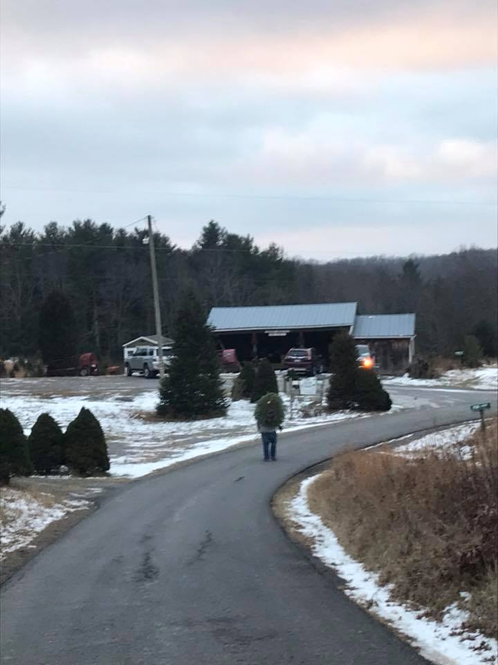 Bluestone Nursery in Camp Creek, WV - Almost Heaven - West Virginia