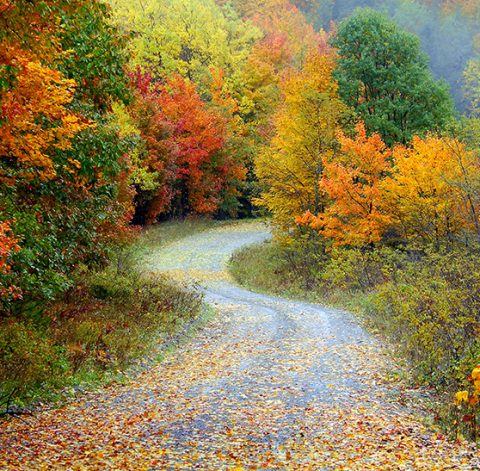 Spruce Knob - Mountain Biking - Almost Heaven - West Virginia