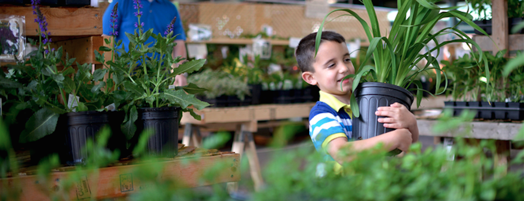 Unique, home-grown finds from WV’s farmers markets - Almost Heaven ...