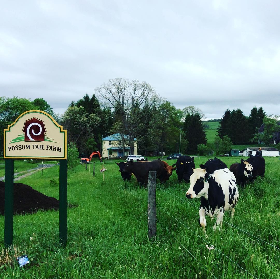 Possum Tail Farm, LLC in Terra Alta, WV - Almost Heaven - West Virginia