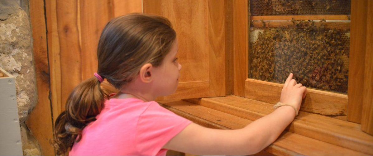 Meet the real busy bees behind your mountain honey - Almost Heaven ...