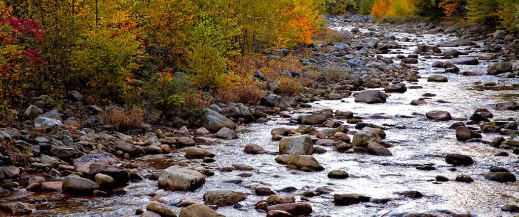 This will definitely convince you to take a family spring break in the ...