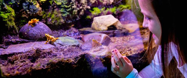 This will definitely convince you to take a family spring break in the ...