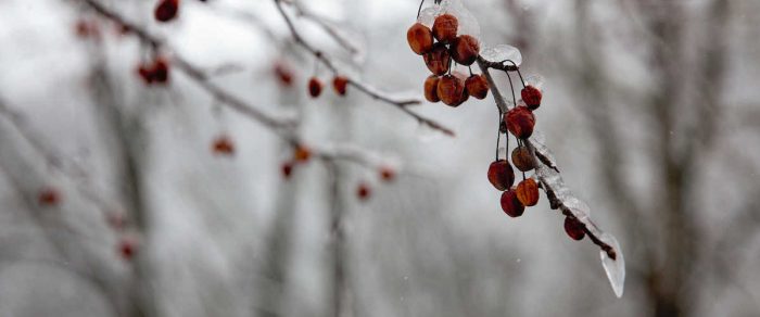9 stunning photos that capture winter in West Virginia - Almost Heaven ...