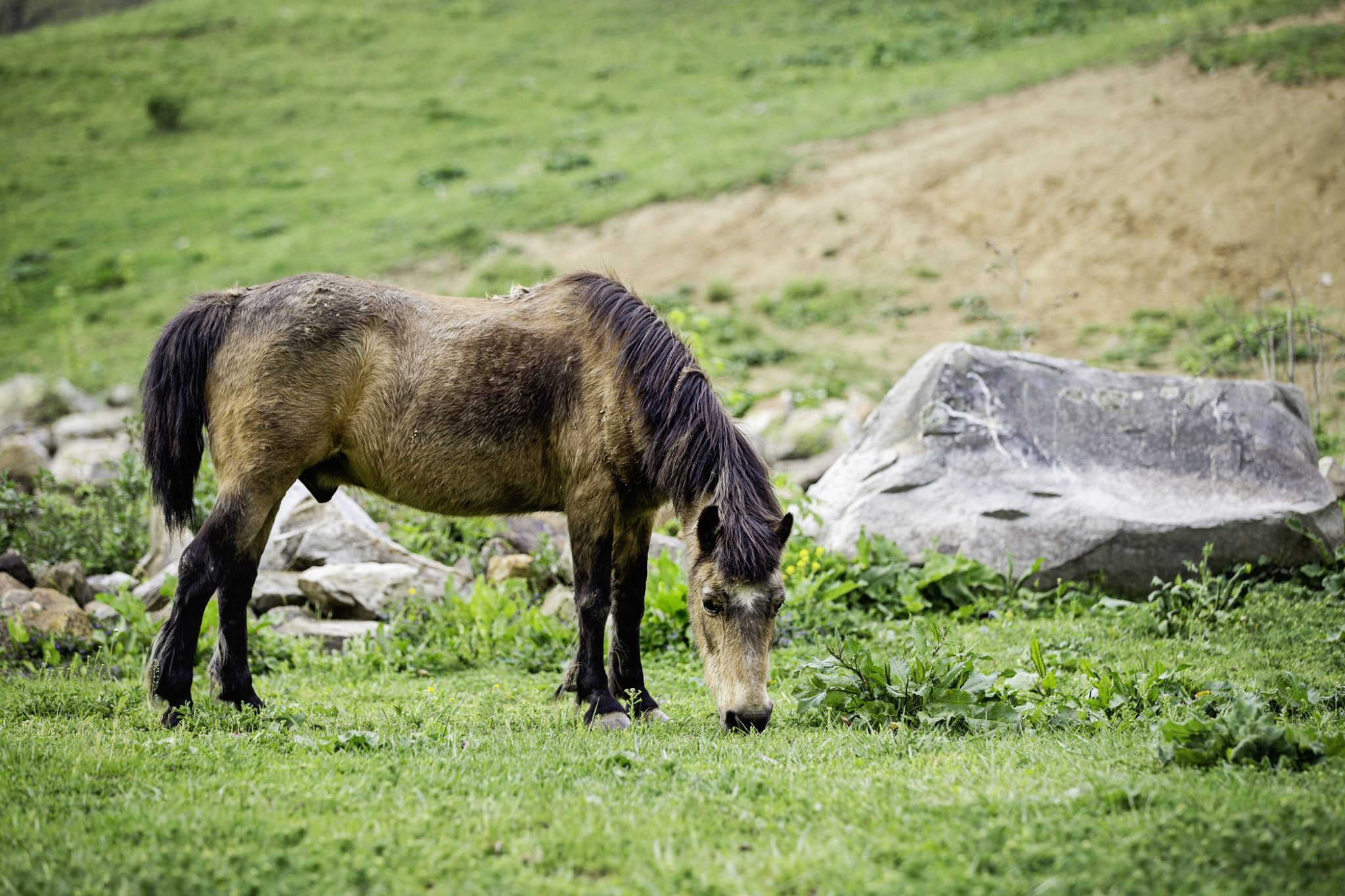Town Guide: Bluefield - Almost Heaven - West Virginia
