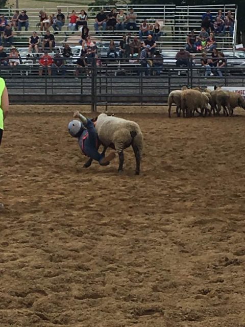 David Allen Pretzel Memorial Rodeo - Almost Heaven - West Virginia ...