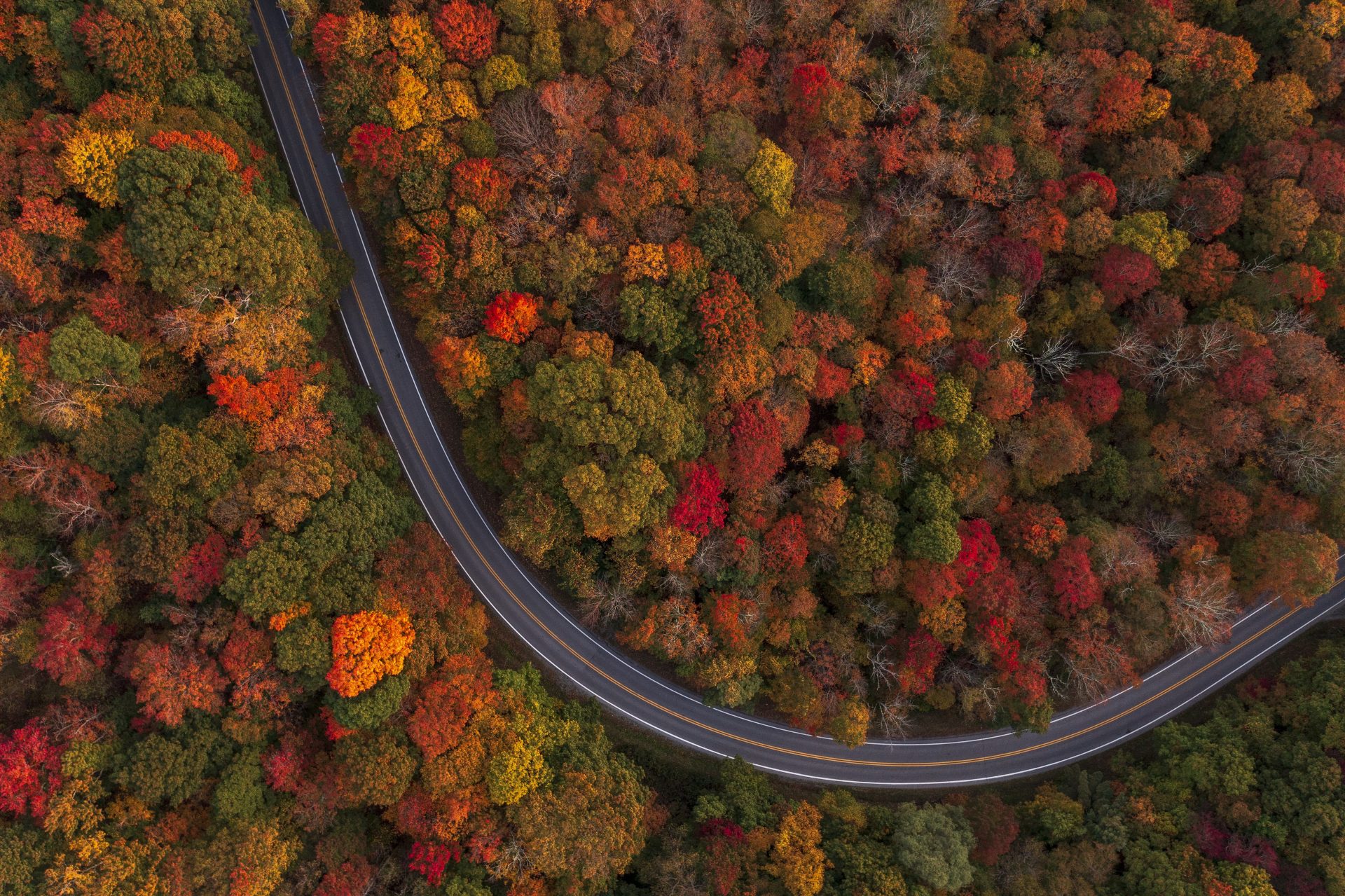 Elkins-Randolph County Tourism Convention and Visitors Bureau - Almost ...