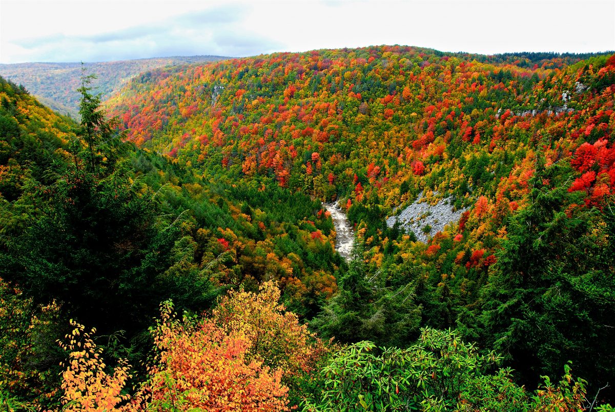 Discover the Perfect Scenic Drives in West Virginia - Almost Heaven ...