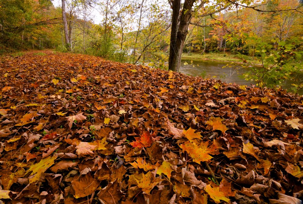 This Fall Festival Has Been A Tradition For 77 Years! - Almost Heaven ...