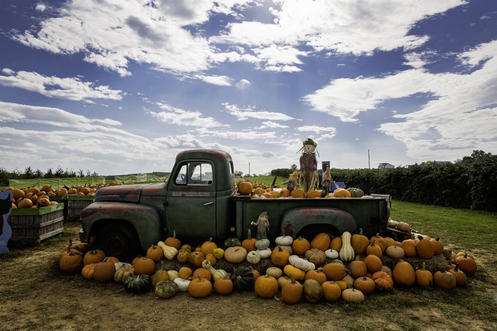 5 Farm Activities that are Perfect for Fall in West Virginia - Almost ...