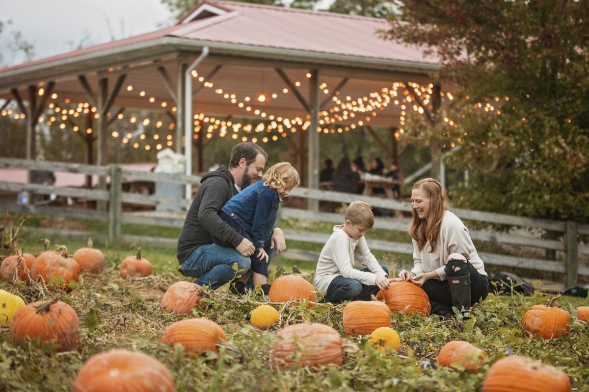 Fall in West Virginia – Leaf Peeping, Waterfall Trails & Scenic Road Trips