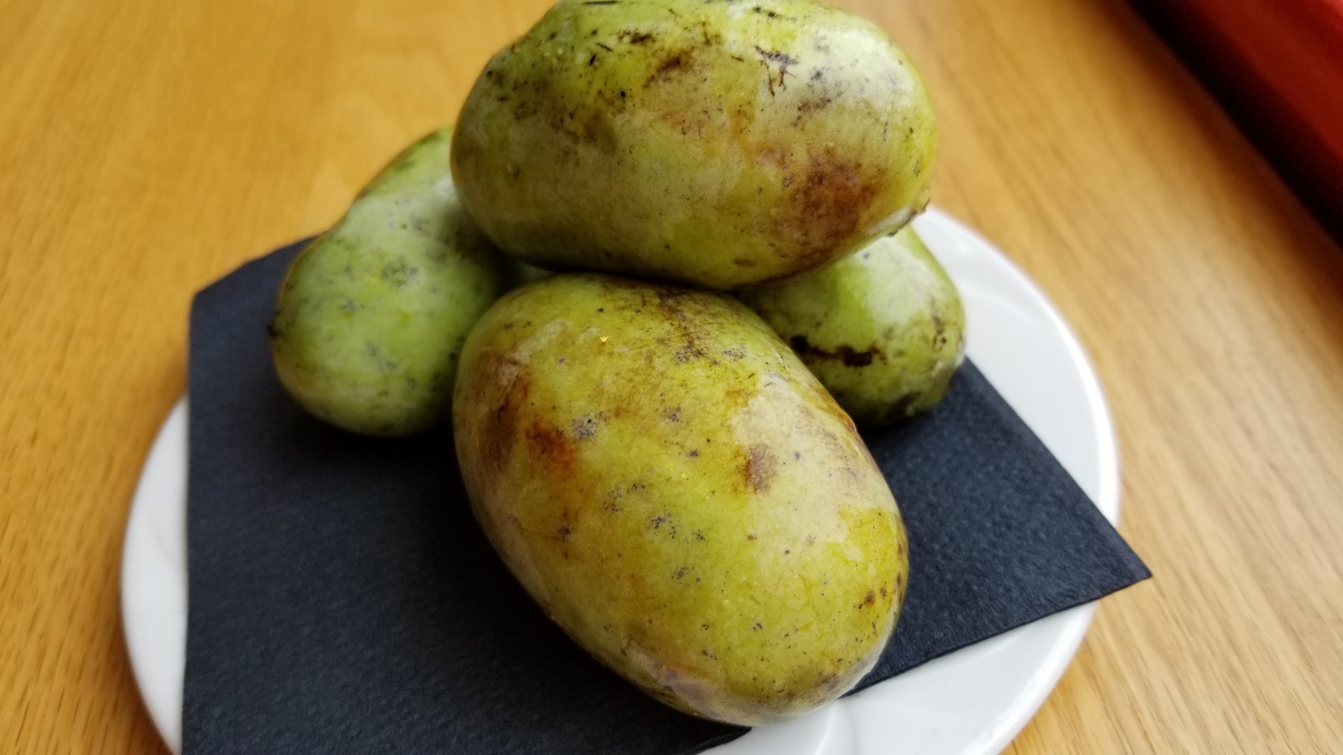 CULINARY EXPLORER: Appalachian Foods You Can Eat Every Day - Pawpaws ...