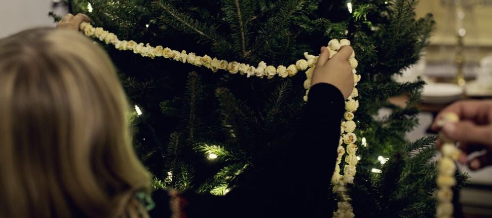 5 spots to choose and cut Christmas trees in the Mountain State ...