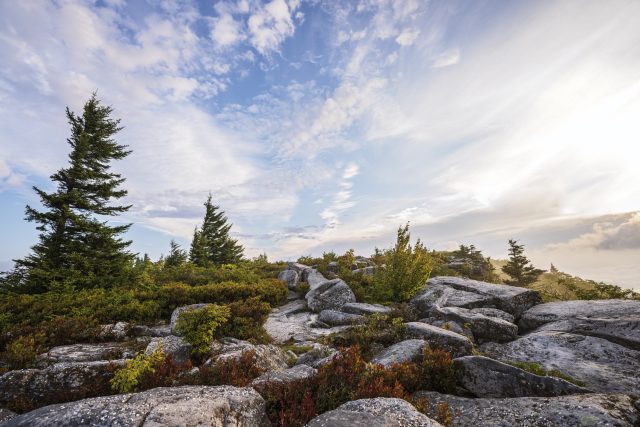 Your Guide to Exploring the Monongahela National Forest - Almost Heaven ...