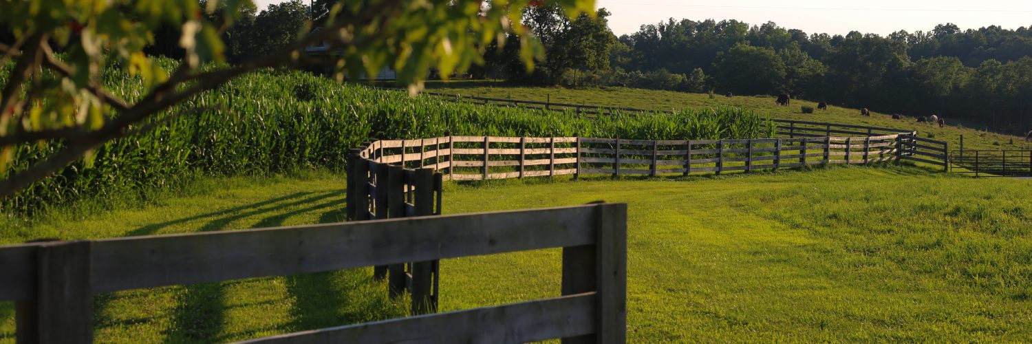 Not Far From the Tree: This family-owned West Virginia farm is fun for ...