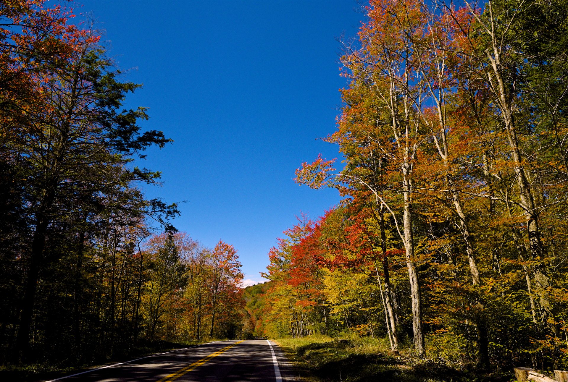 Scenic Vistas. Winding roads. Wilderness Adventures. A guide to the ...