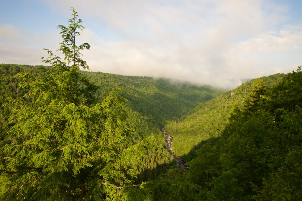 Experience the Best of Winter or Spring at These Stunning Places ...