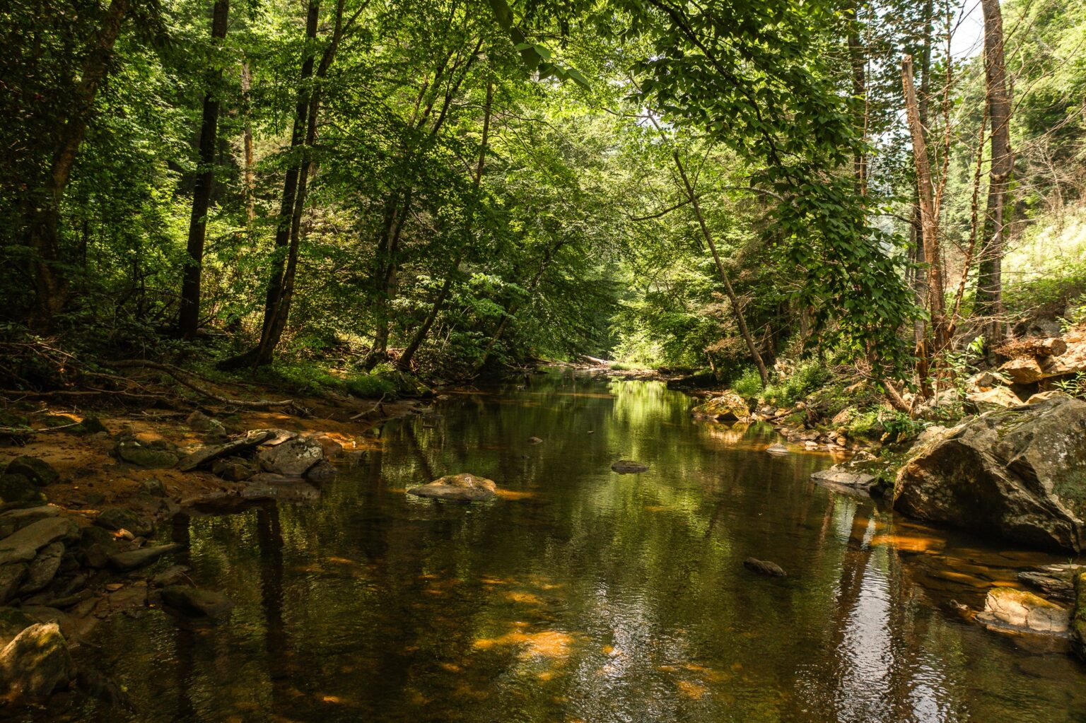 Explore Adventure and Heritage during 72 hours in Hatfield-McCoy ...
