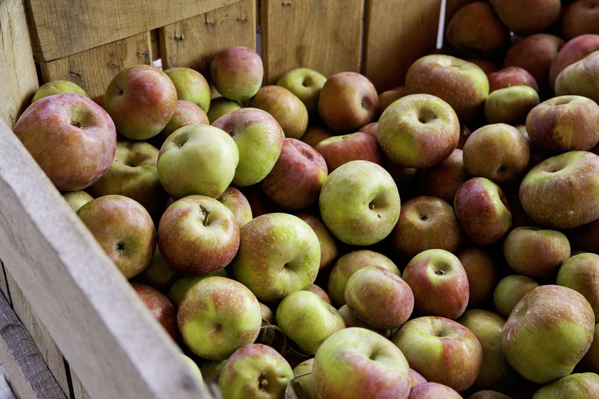 Take a Bite Out of West Virginia Apples and Apple-Inspired Recipes ...