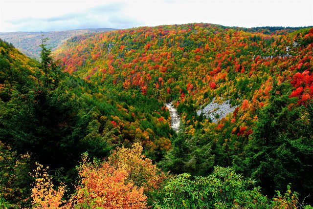 Enjoy Leaf Peeping Throughout Fall in Almost Heaven - Almost Heaven ...