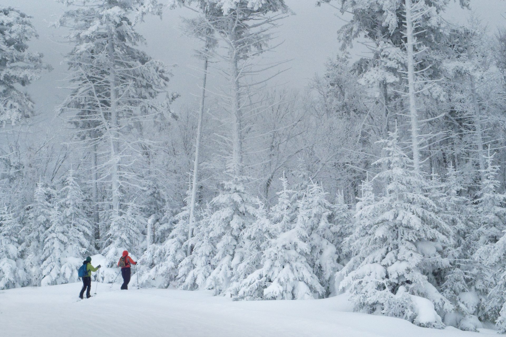 Timberline Mountain - Almost Heaven - West Virginia : Almost Heaven ...