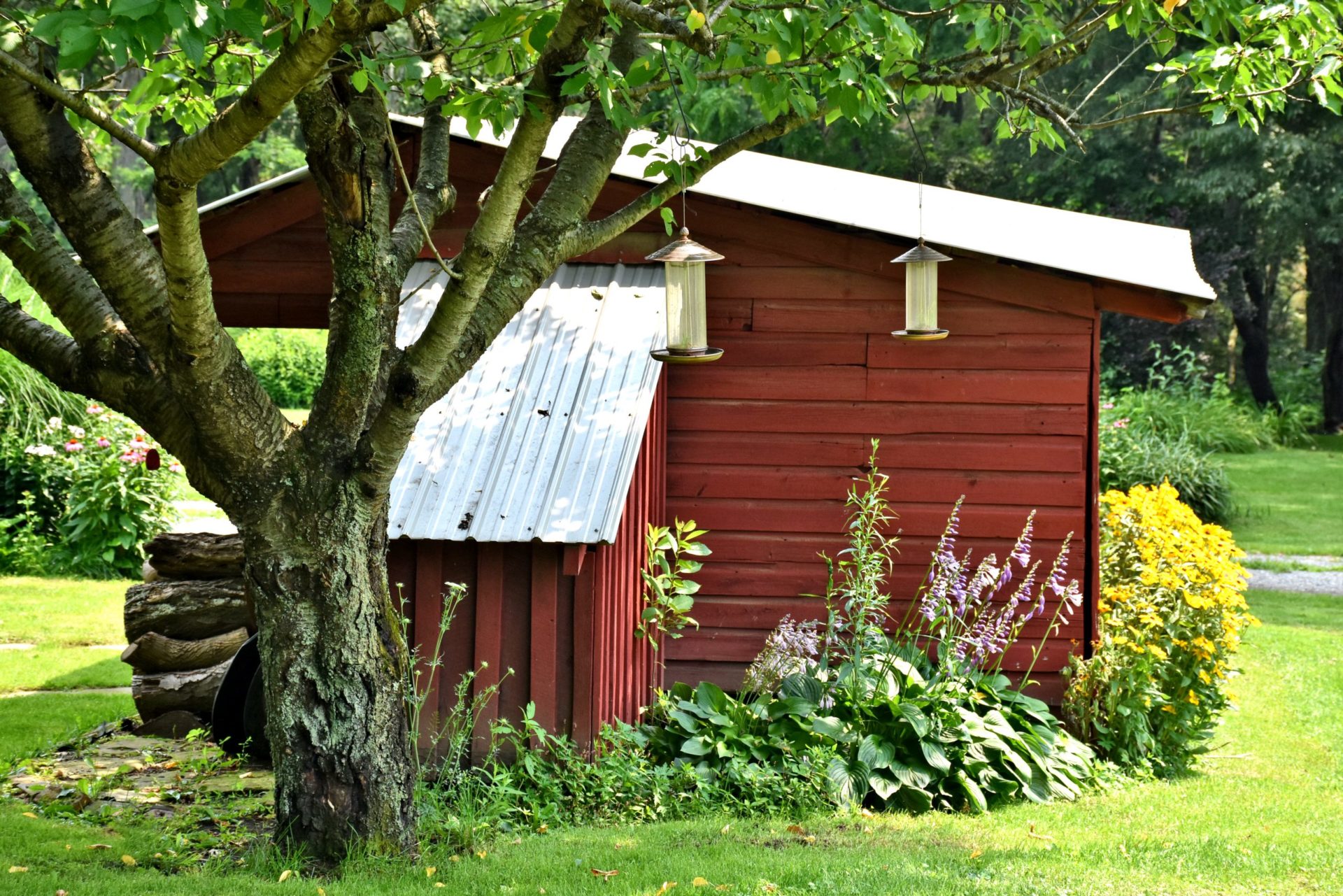 Your Guide to Local West Virginia Honey - Almost Heaven - West Virginia