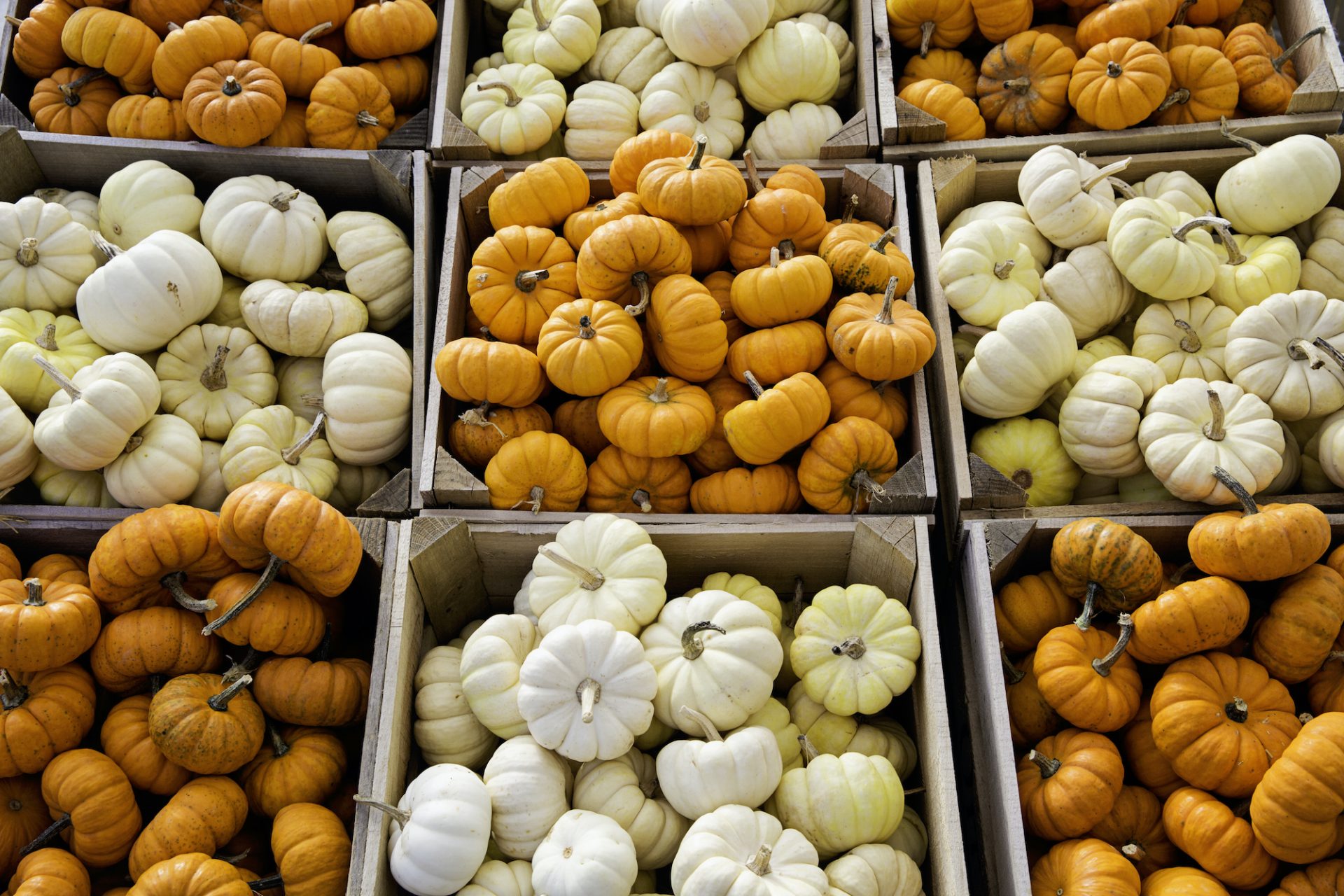 Twelvepole Manor and the Terror Out Wayne - Almost Heaven - West Virginia