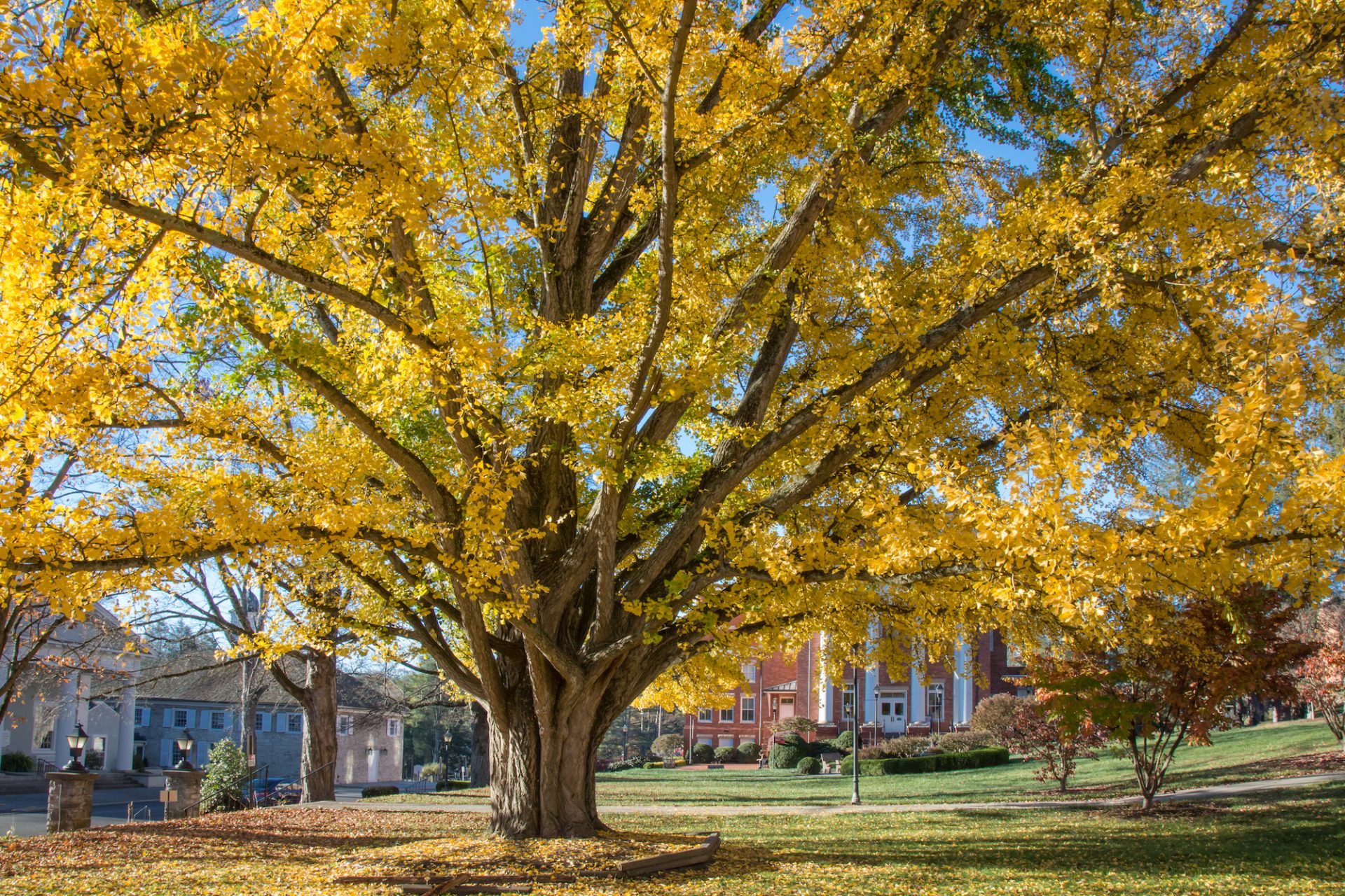 A Fall Day in the Greenbrier Valley - Almost Heaven - West Virginia