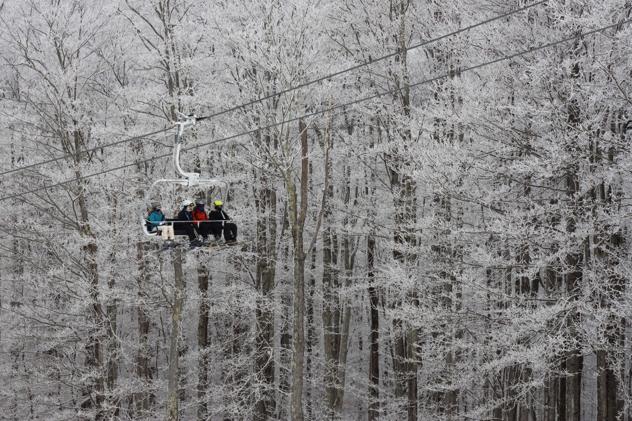 Timberline Mountain - Almost Heaven - West Virginia