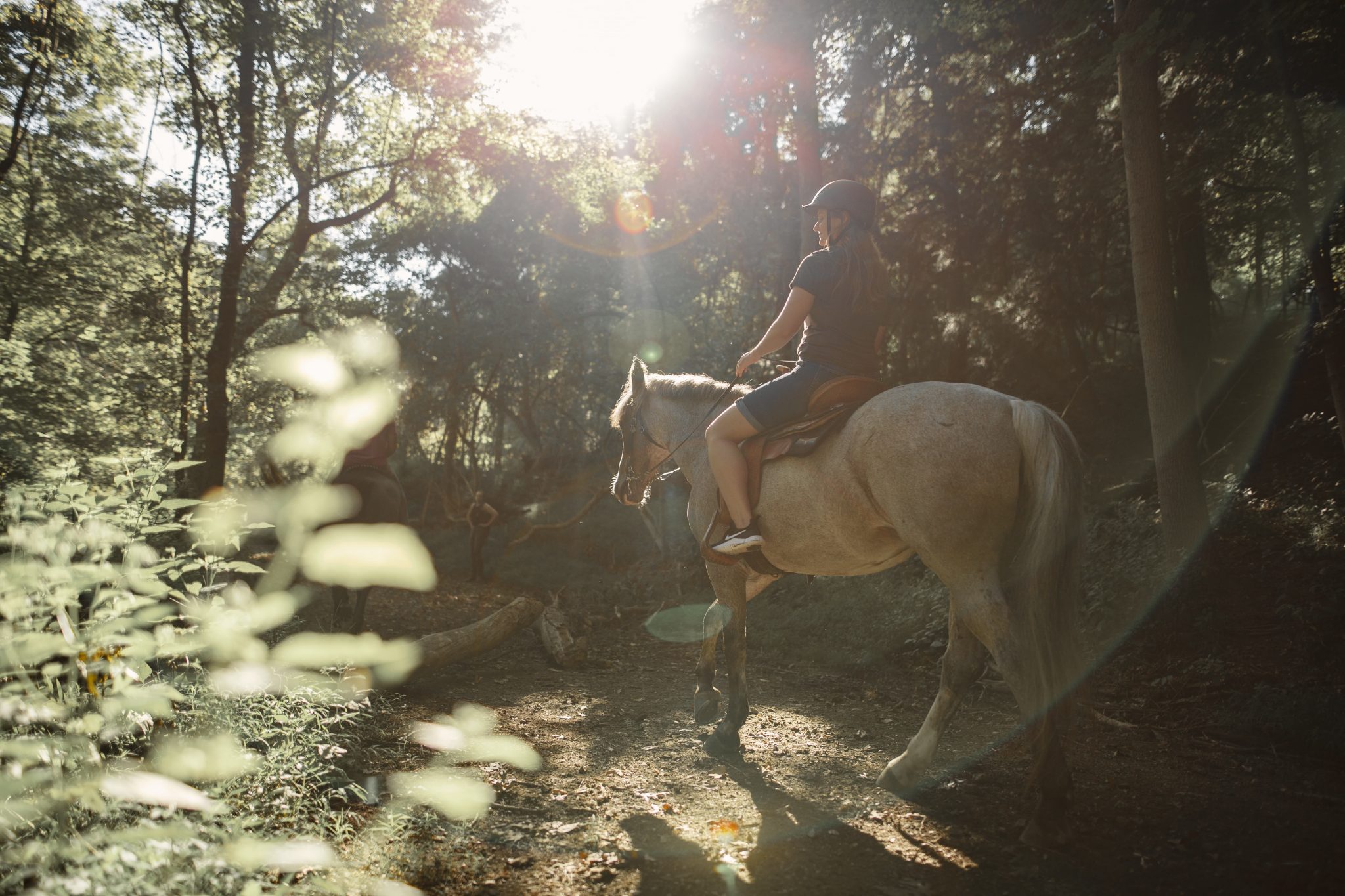 Explore New Heights: Reaching the Seneca Rocks Peak - Almost Heaven ...