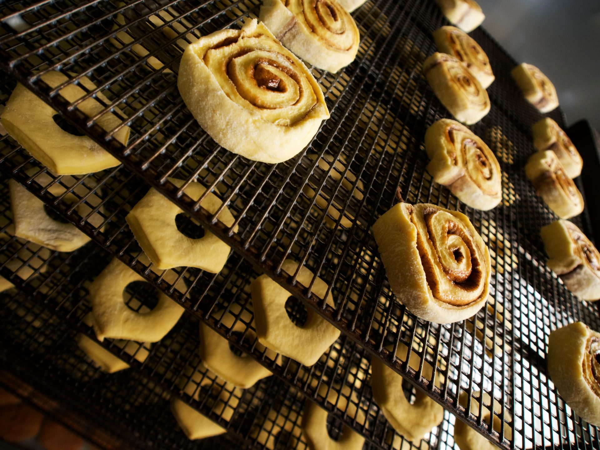 Our State Fair of West Virginia Foodie Guide - Almost Heaven - West ...