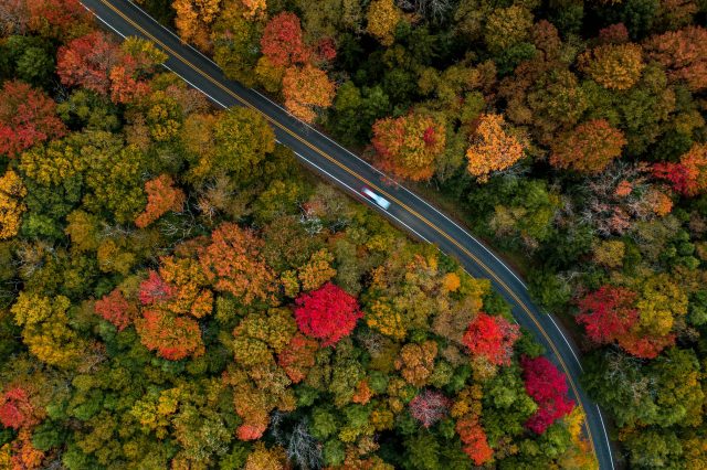 SCENIC DRIVES - Almost Heaven - West Virginia