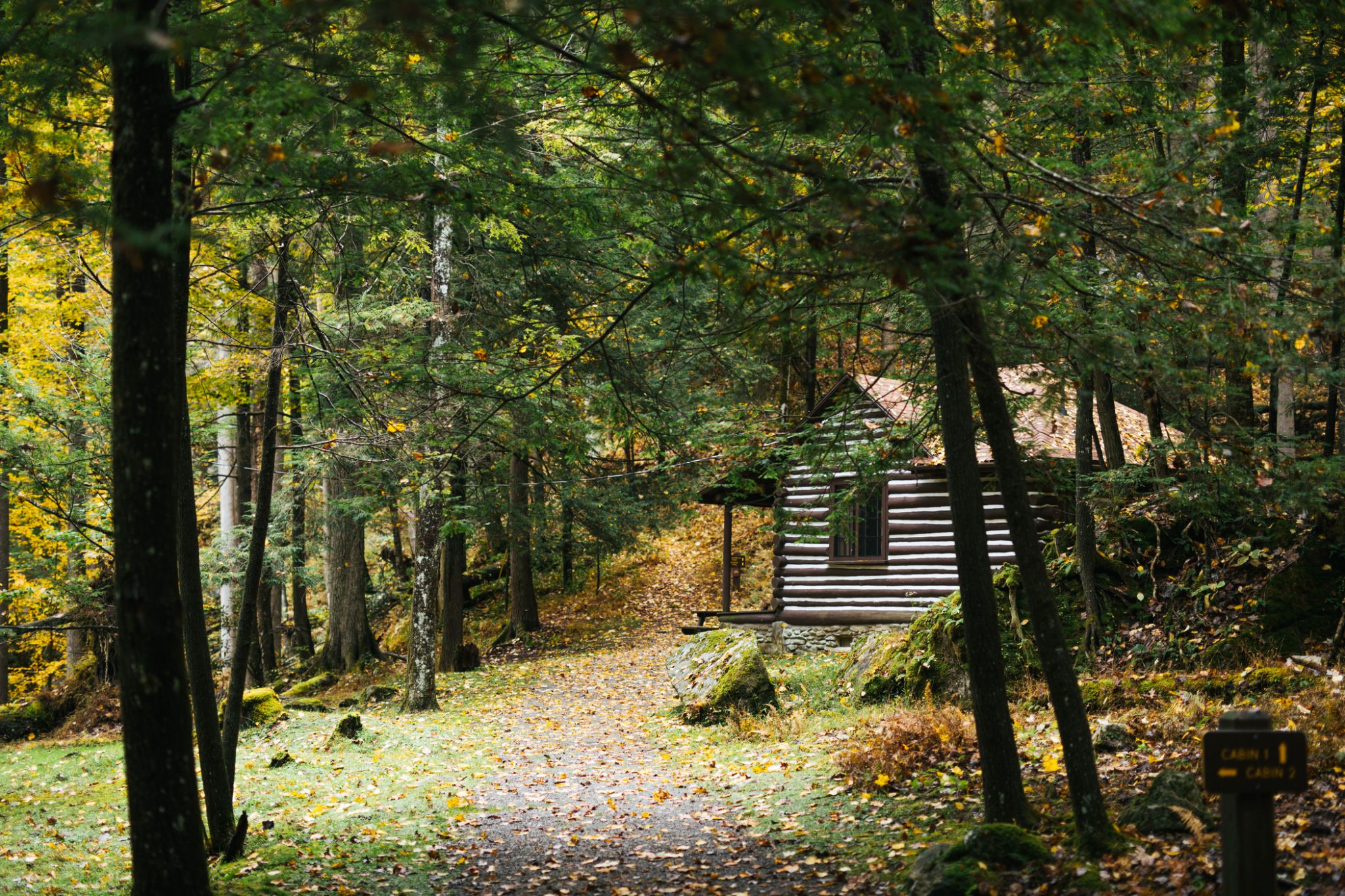 State Parks and Forests - Almost Heaven - West Virginia