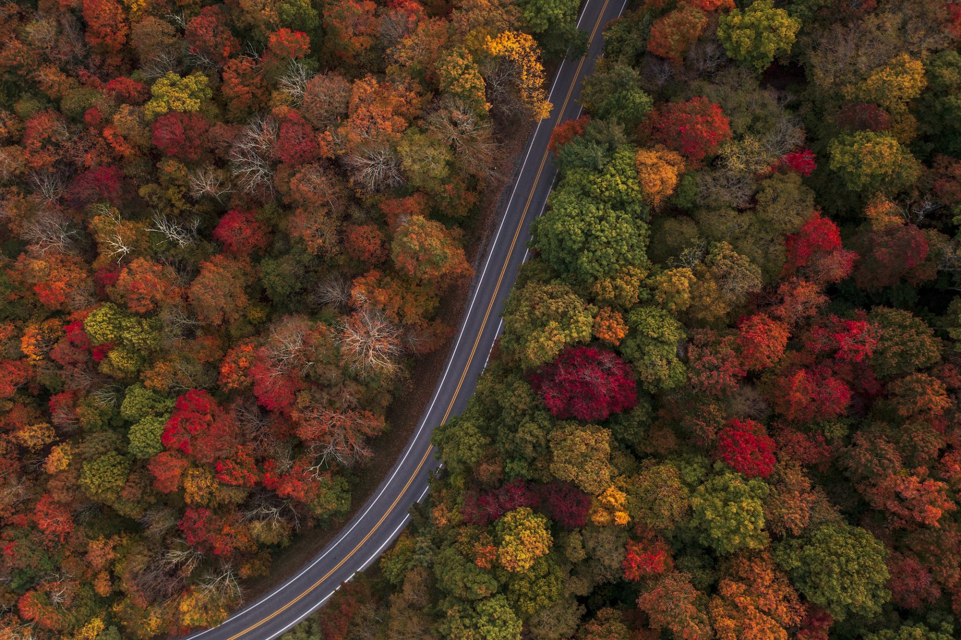 Fall Foliage Road Trip: W.Va. Route 310 - Almost Heaven - West Virginia