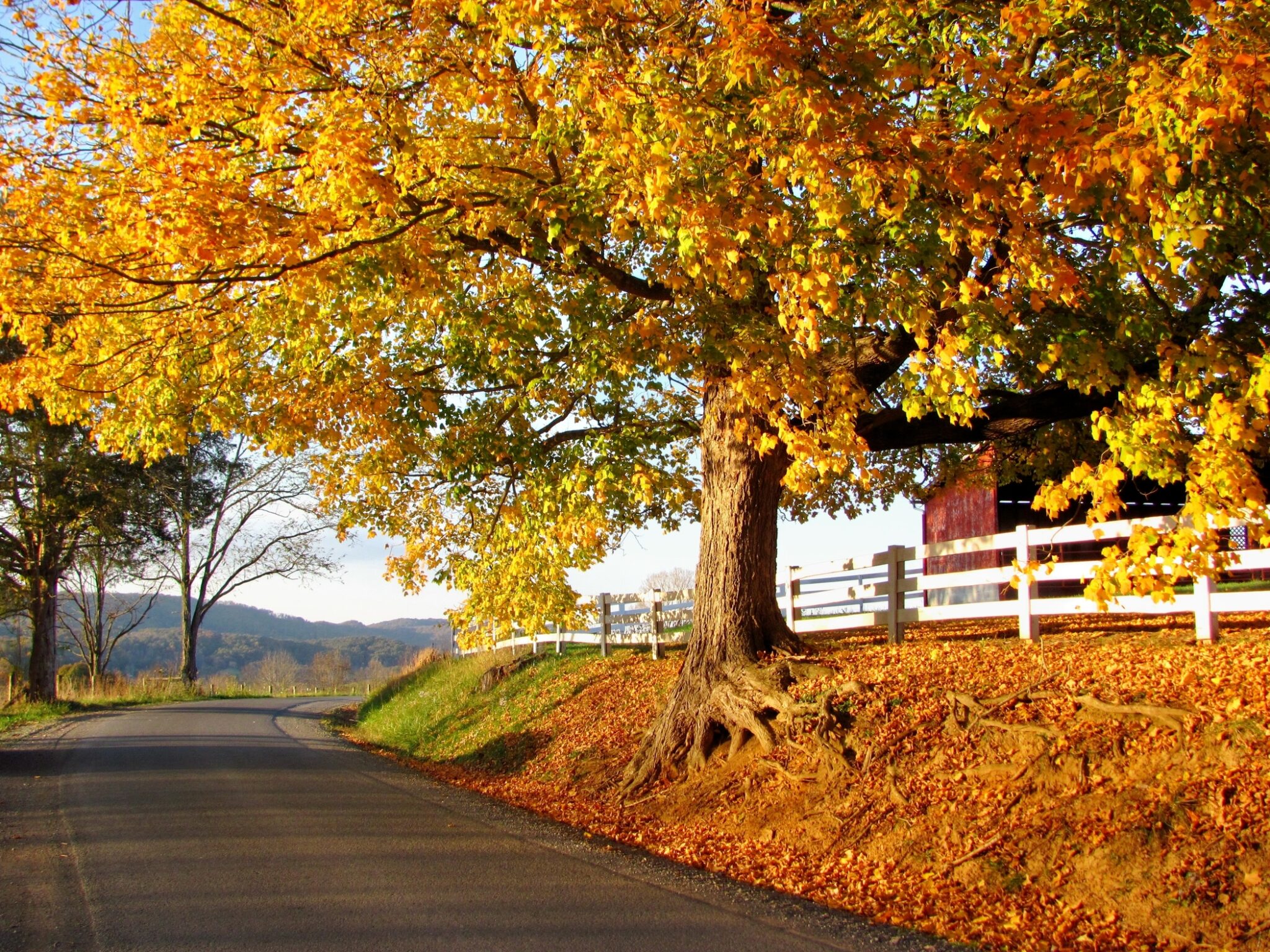 Road Trips from Virginia: New River/Greenbrier Valley - Almost Heaven ...