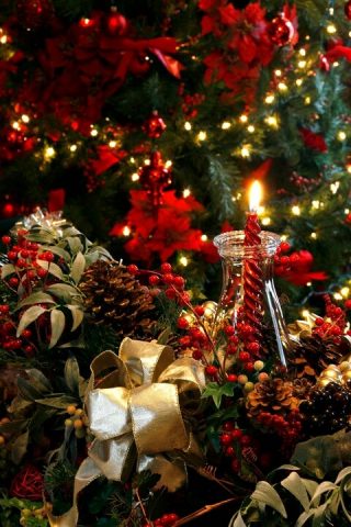 Oh Christmas Tree — Festive Farms in WV - Almost Heaven - West Virginia