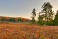 Your Guide to Exploring the Monongahela National Forest - Almost Heaven ...