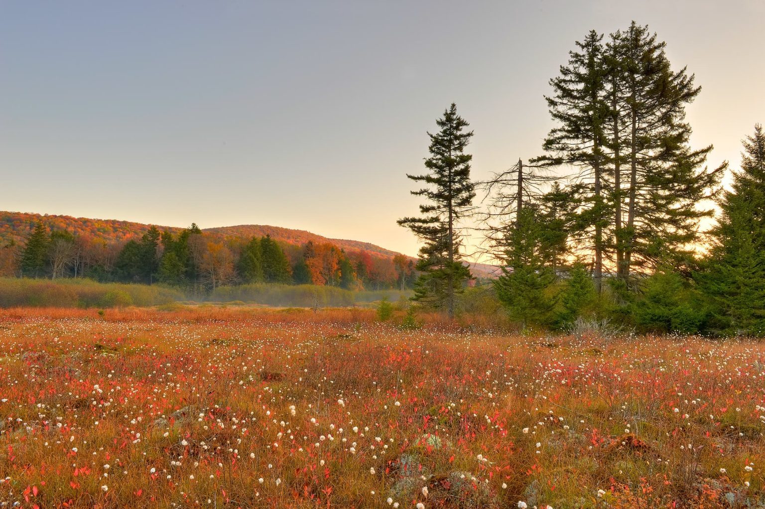 Your Guide to Exploring the Monongahela National Forest - Almost Heaven ...
