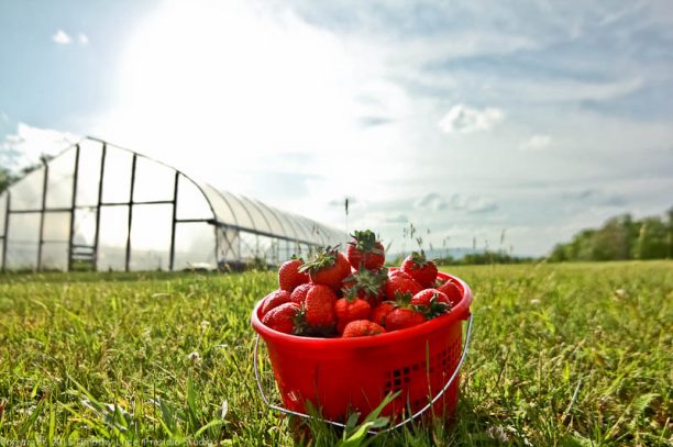 Your Summer 2022 Bucket List - Almost Heaven - West Virginia
