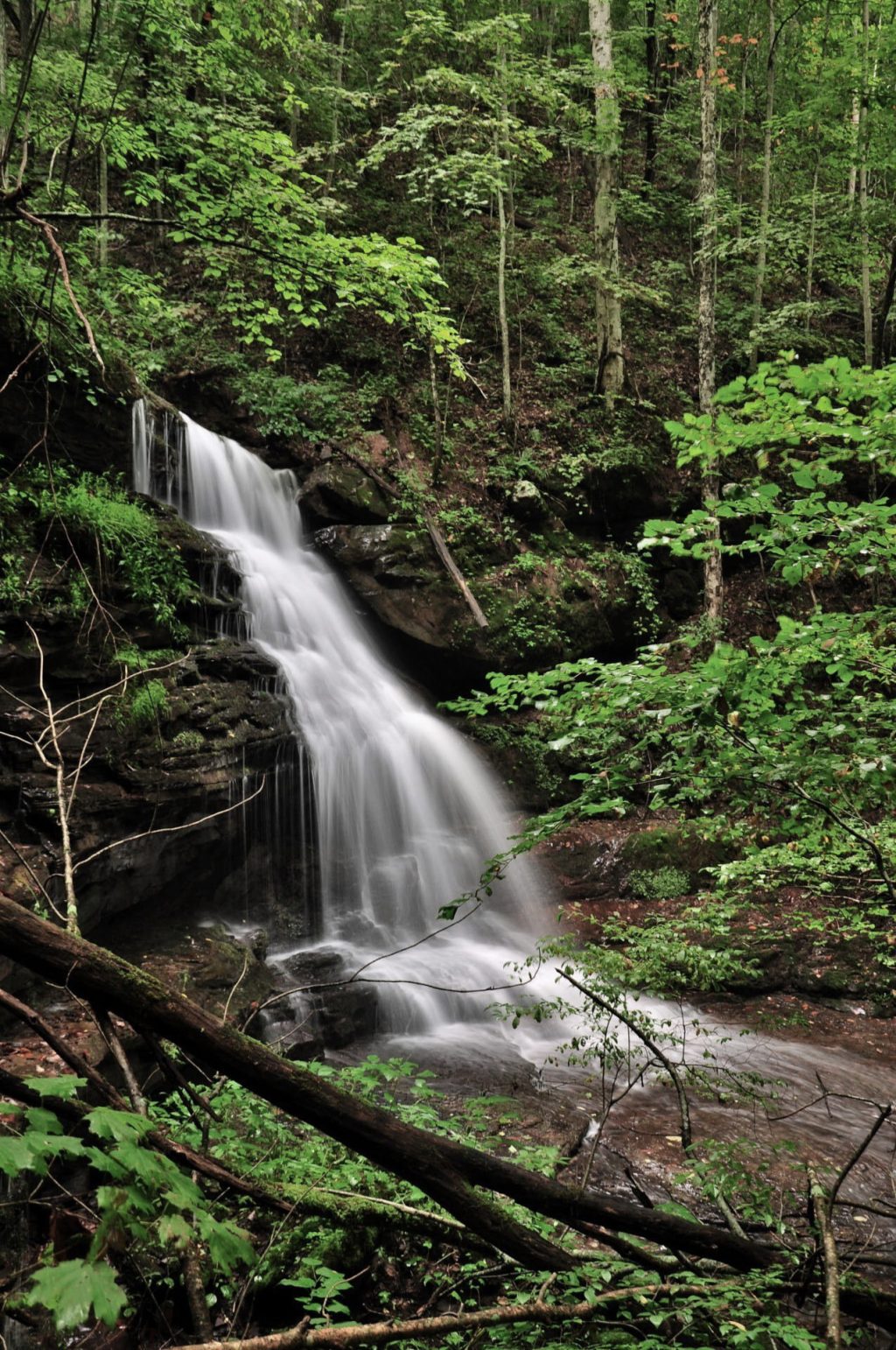 Soak Up Scenic Views of These Beautiful Southern Waterfalls - Almost ...