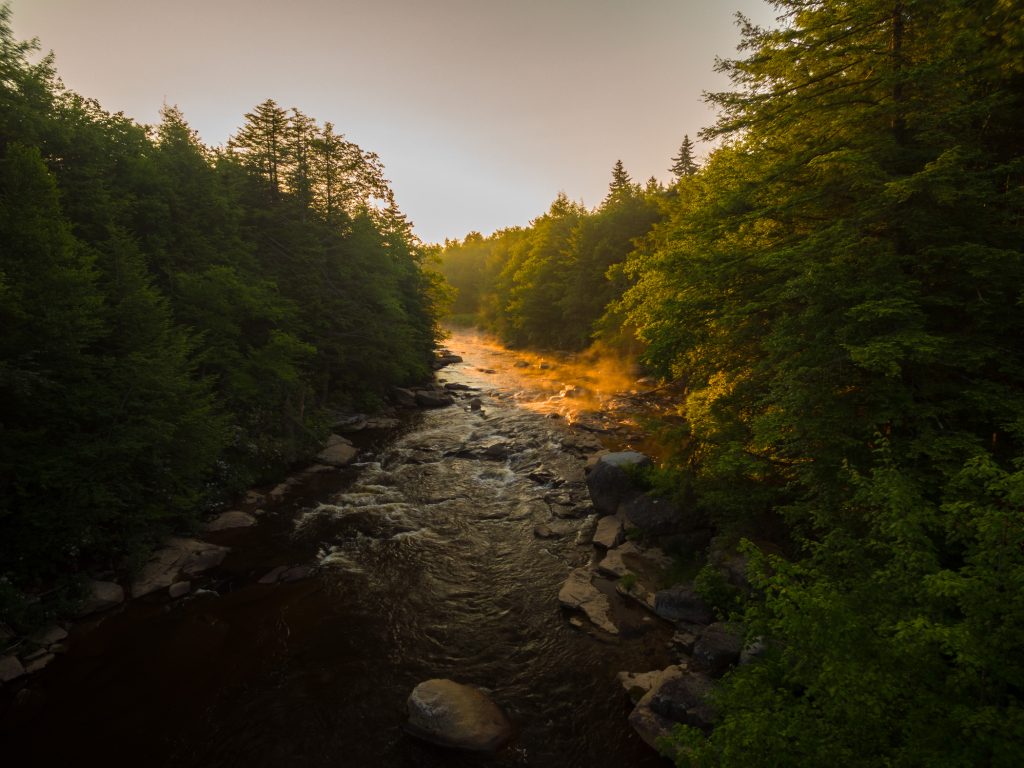 48 Hours in Davis, West Virginia - Almost Heaven - West Virginia