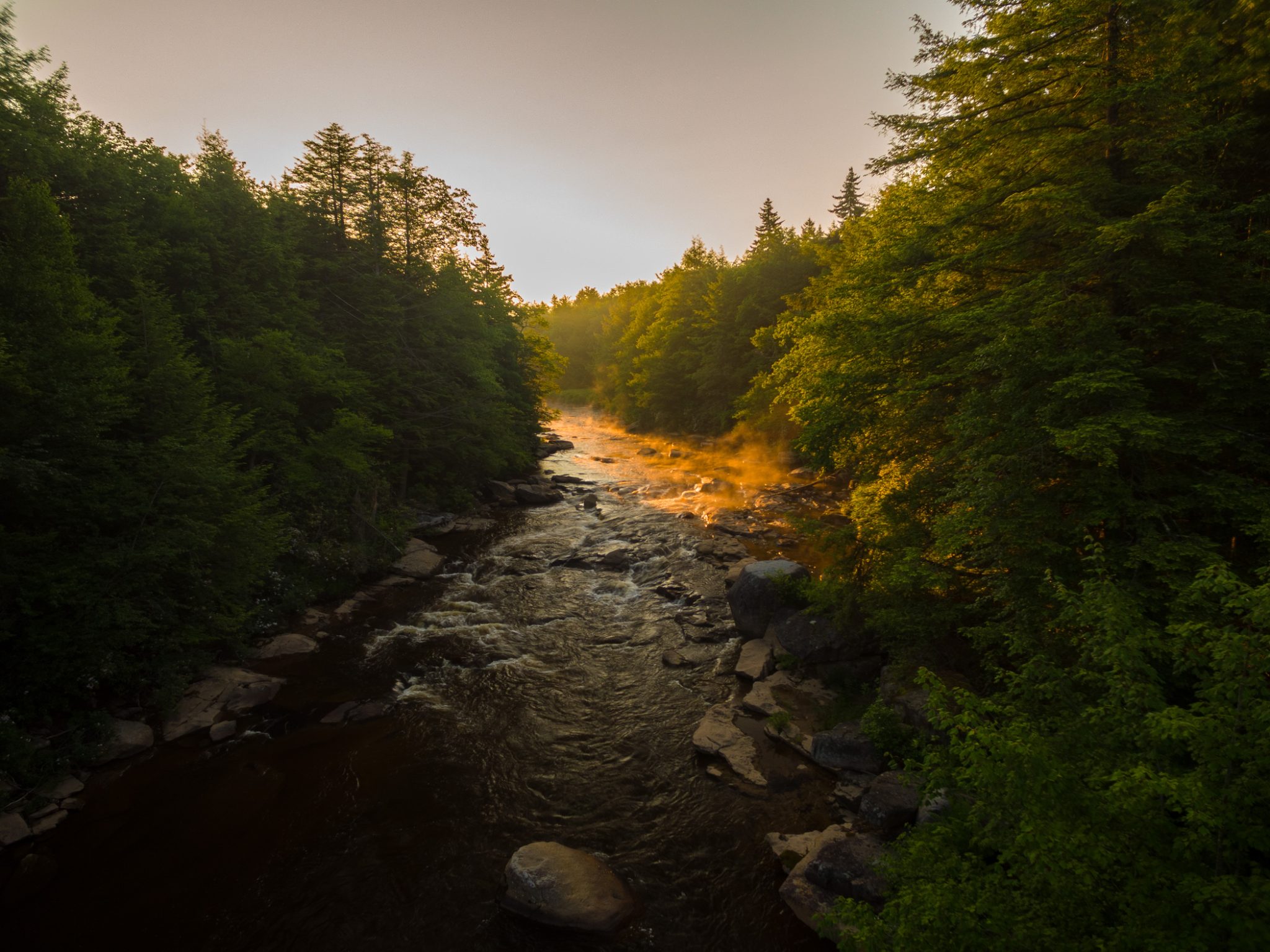 48 Hours in Davis, West Virginia - Almost Heaven - West Virginia