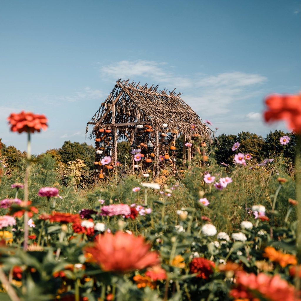 5 Farm Activities that are Perfect for Fall in West Virginia - Almost ...